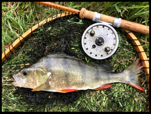 For All The Fishes That Are — The Piscatorial Raconteurs & Friends