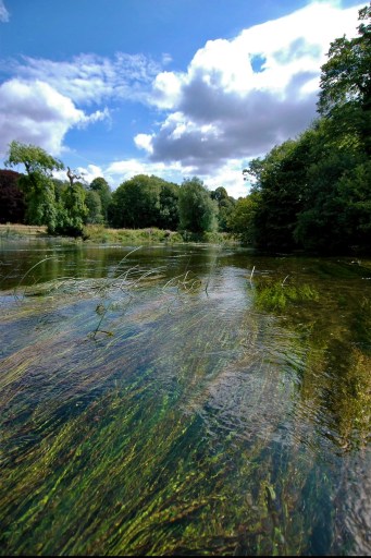 Our beloved countryside - as photographed by the Piscatorial Raconteurs ...