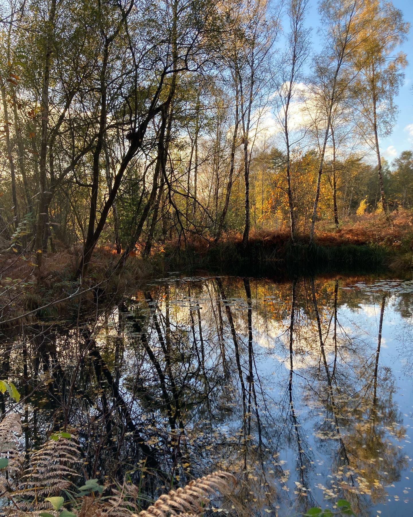 The Piscatorial Raconteurs & Friends - A Winters Tale Or Two — The ...