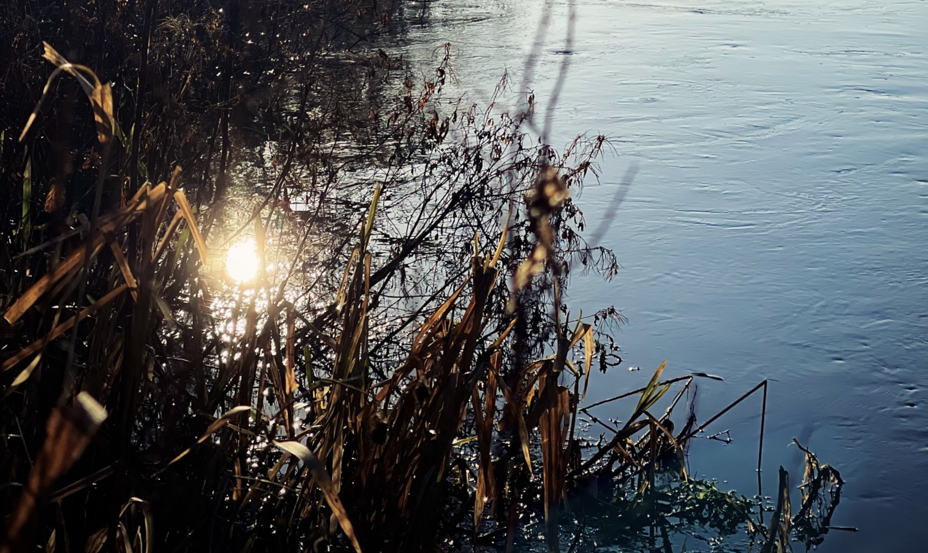 Jeremy Croxall's - The Melancholy Of Spring — The Piscatorial ...