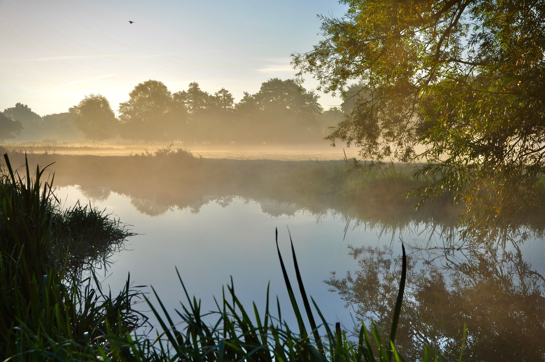 Tengisgol & Pavlov's pike — The Piscatorial Raconteurs & Friends