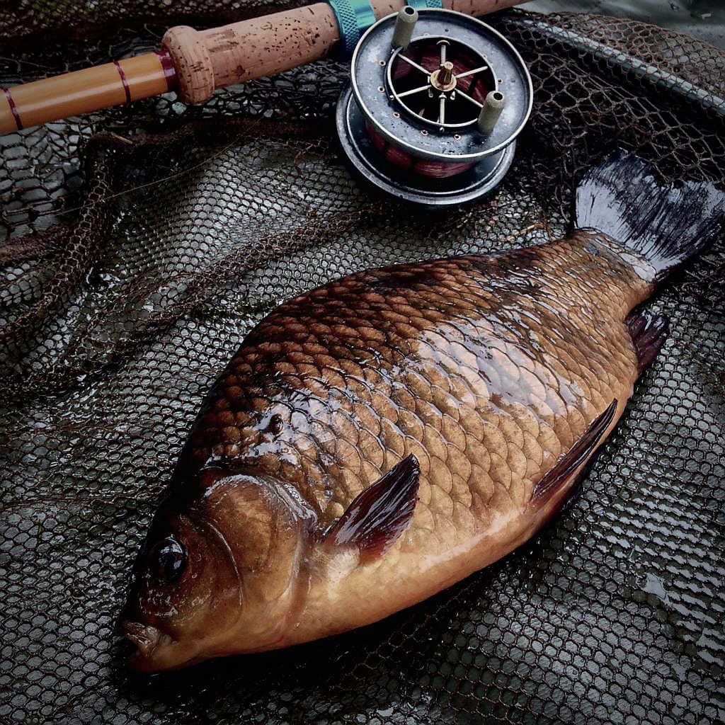 The Piscatorial Raconteurs & Friends - A Collective Cheer From Us All ...