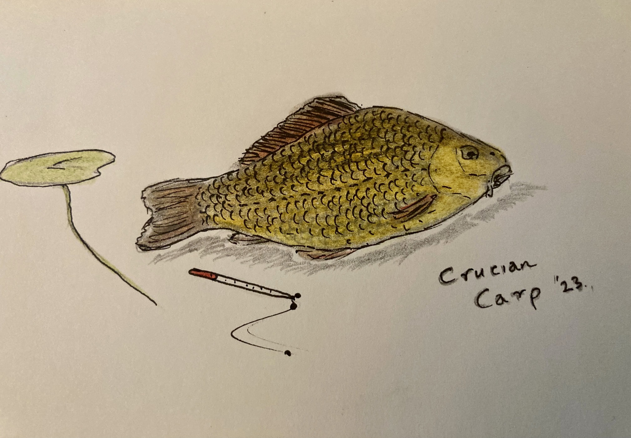 Earthing The Current's - Sliding Doors — The Piscatorial Raconteurs ...