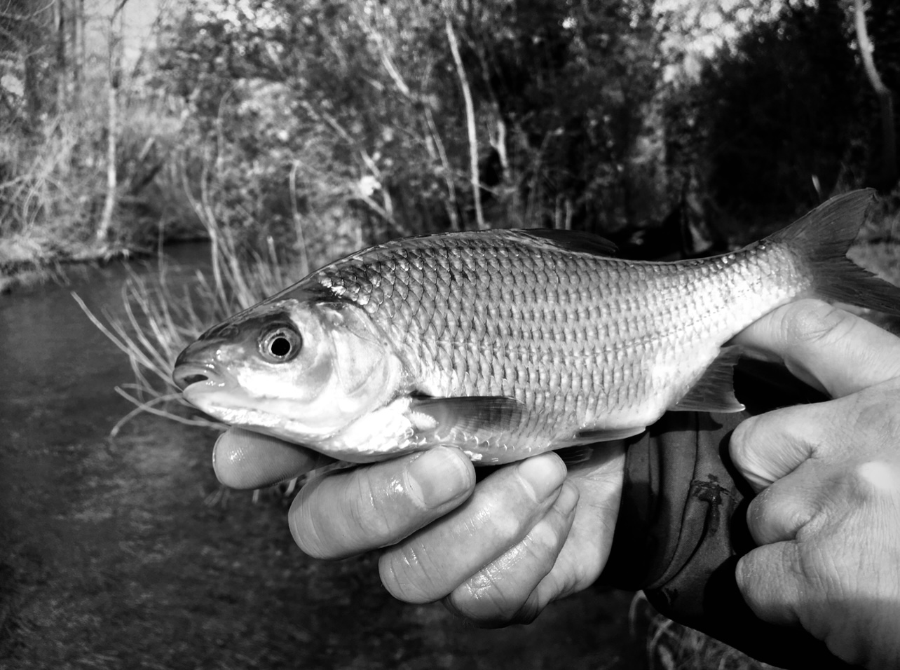 After Arthur, There Was Dennis - Part Two In Tengisgol's Story — The ...