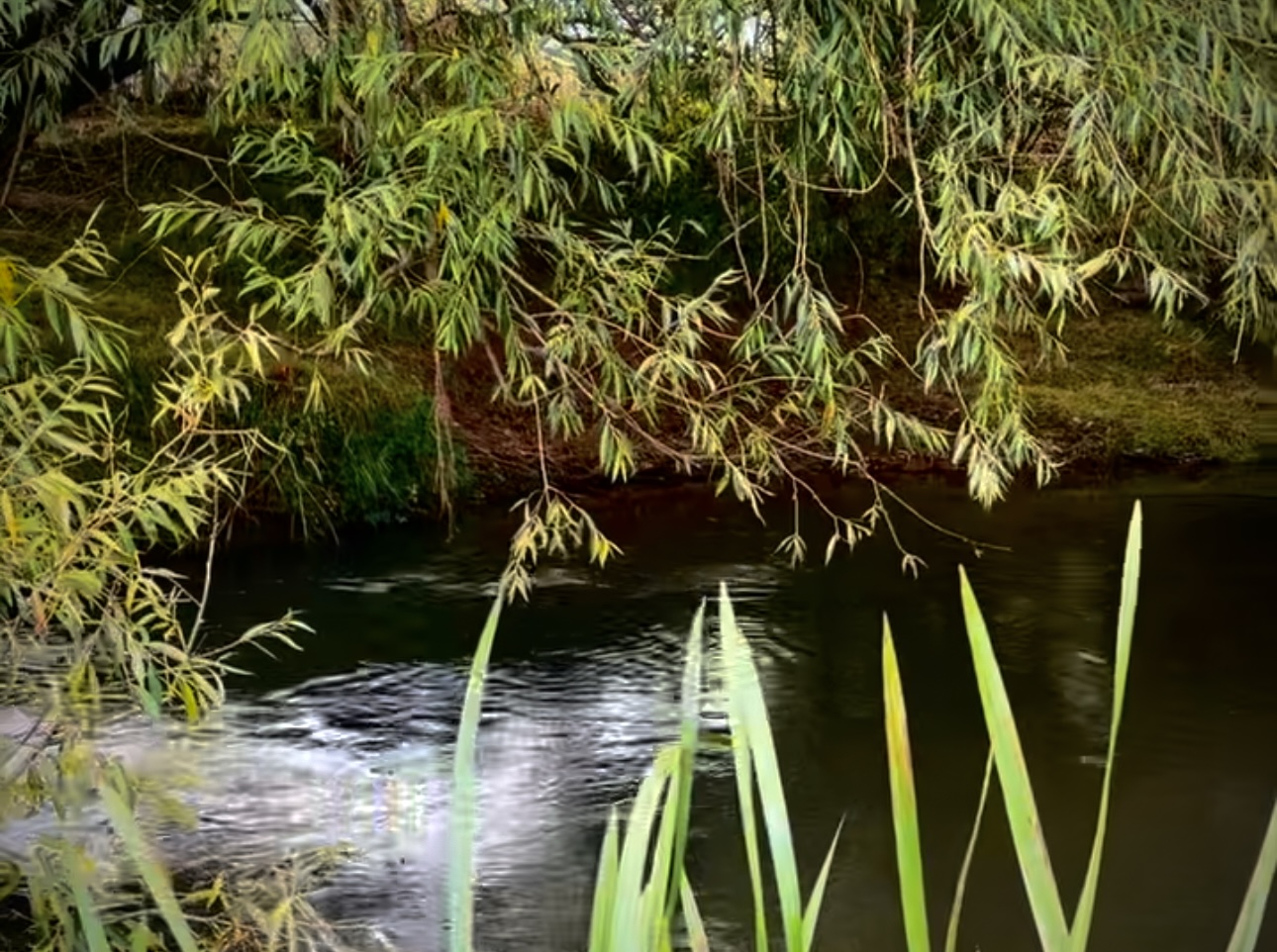 Jeremy Croxall - 'Bakers' — The Piscatorial Raconteurs & Friends