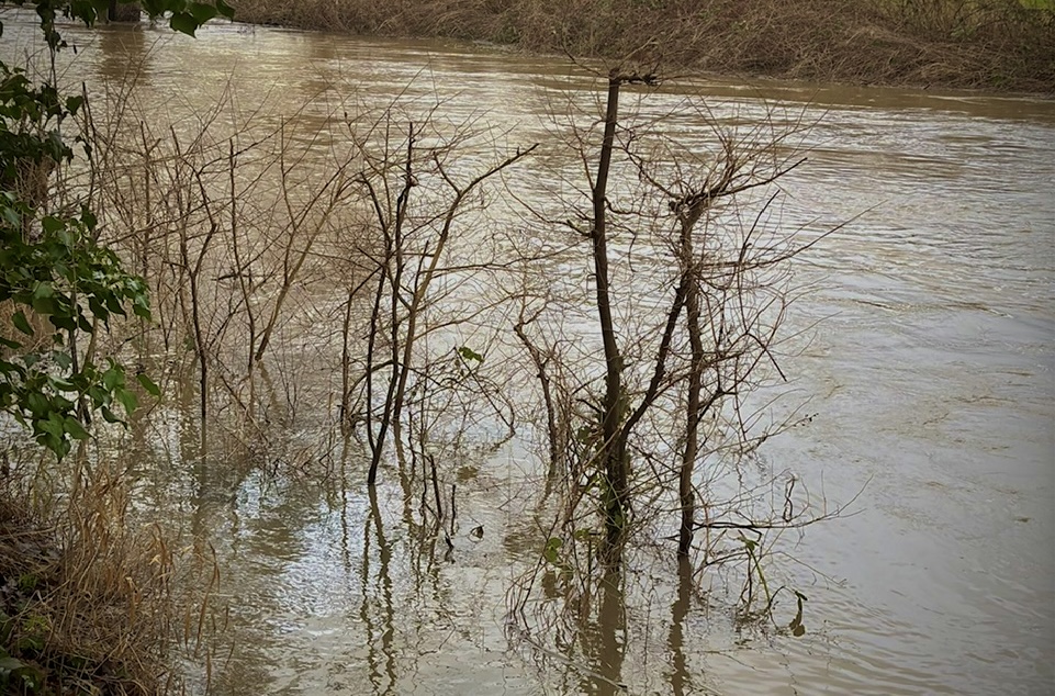 Earthing The Current - Midwinter — The Piscatorial Raconteurs & Friends